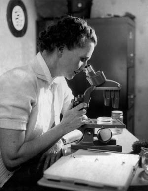 Rachel Carson and the silent environmentalists | Beyond Nuclear ...