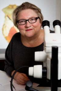 The woman who paints insects | Beyond Nuclear International