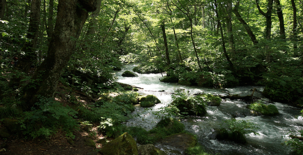 All that would be destroyed | Beyond Nuclear International