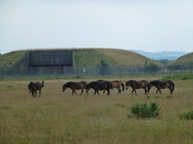 A return to Greenham Common? | Beyond Nuclear International