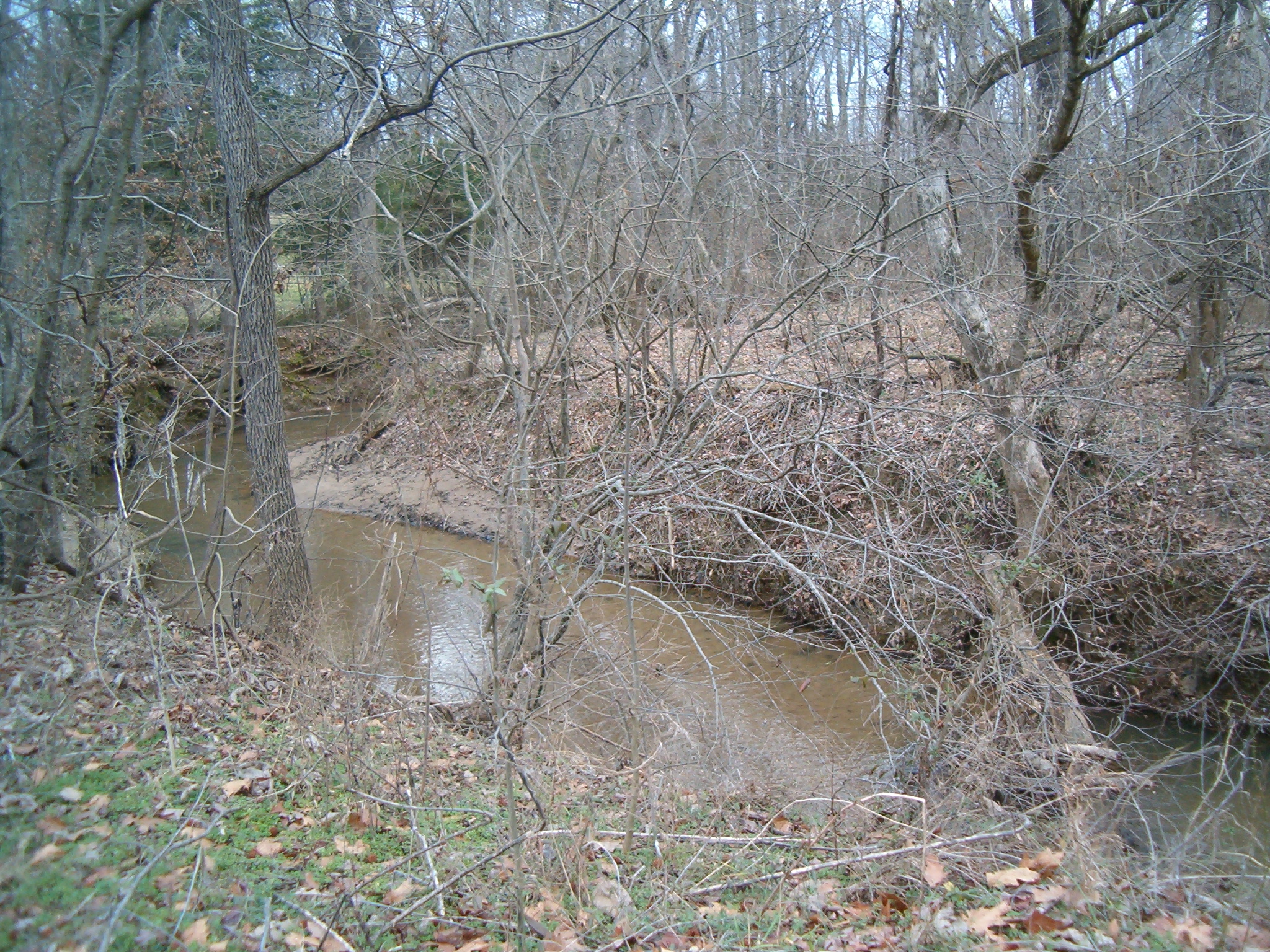 A judge again denies Virginia Uranium Inc. | Beyond Nuclear International