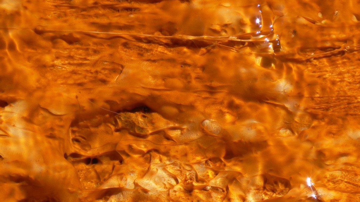 Hot water | Beyond Nuclear International
